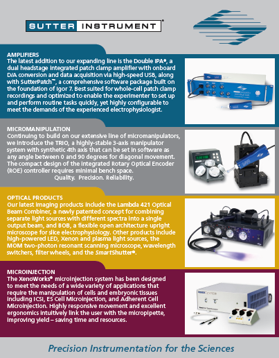 Society for the Neural Control of Movement